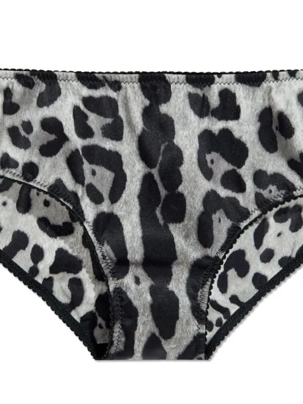 Dolce & Gabbana Leopard-print Briefs