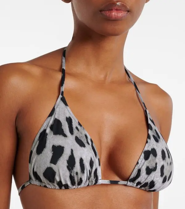 Dolce & Gabbana Leopard-print Bikini - Multicoloured