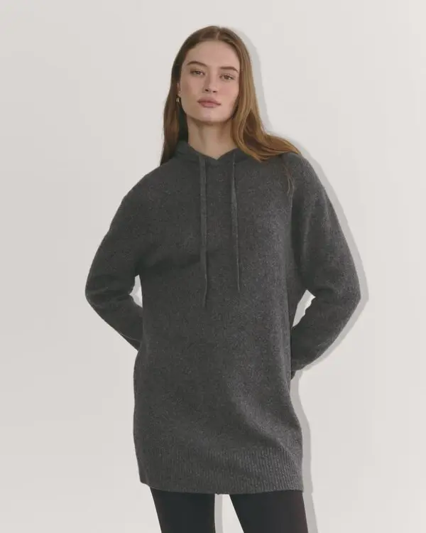 Everlane Oversized Hoodie In Plush Cotton Sweater