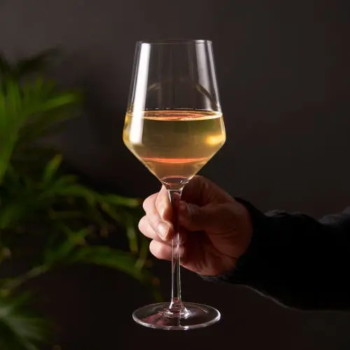 VISKI Raye Crystal Angled Chardonnay Glasses Set Of 2