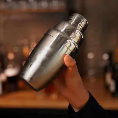 VISKI Heavyweight Cocktail Shaker