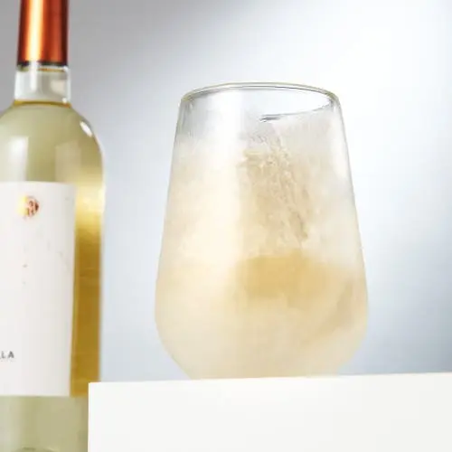 VISKI Glacier Double Walled Chilling Wine Glass