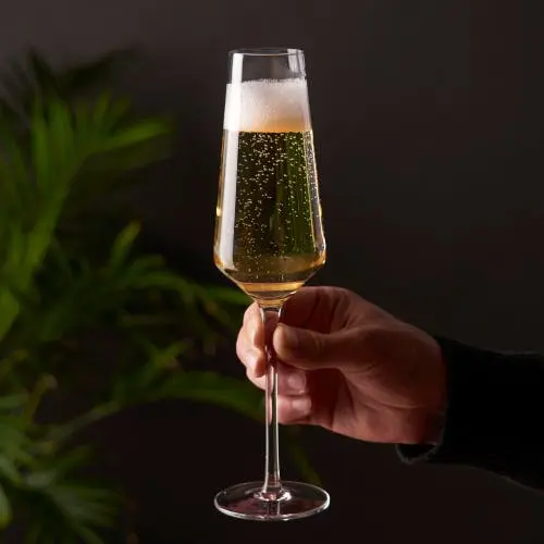 VISKI Raye Crystal Angled Champagne Flutes Set Of 2