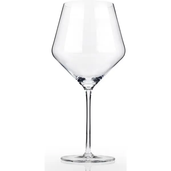 VISKI Raye Crystal Angled Burgundy Glasses Set Of 2 - Clear