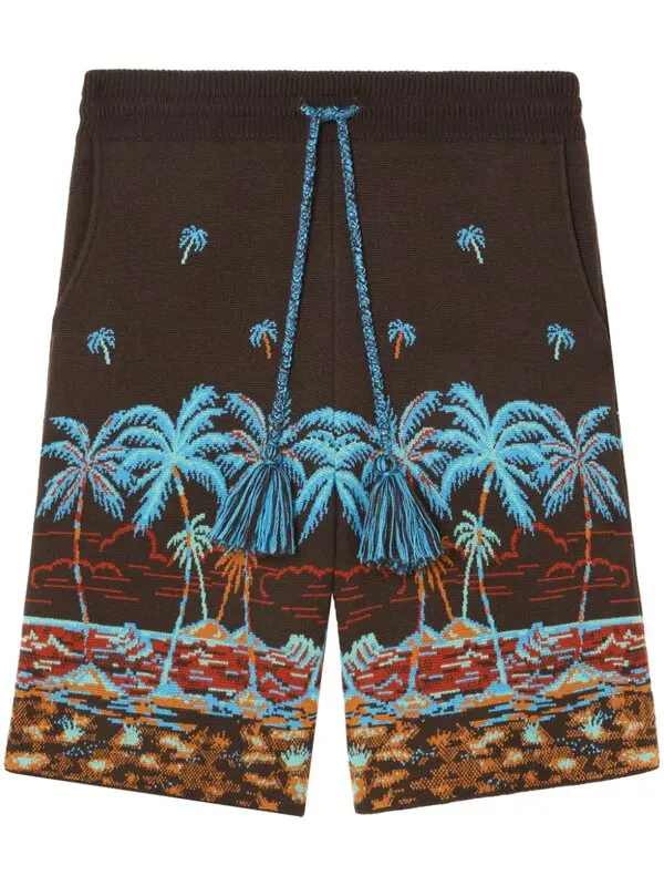 Alanui The Tale Of Hawaiian Shorts - Brown
