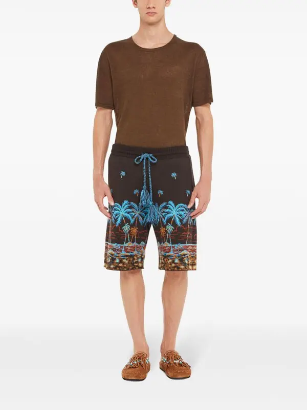 Alanui The Tale Of Hawaiian Shorts - Brown