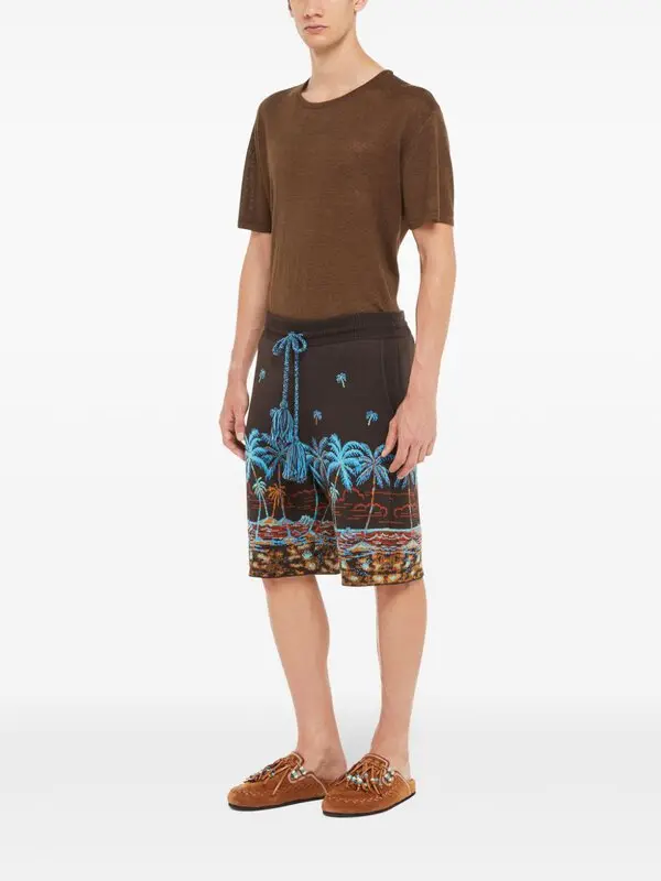 Alanui The Tale Of Hawaiian Shorts - Brown