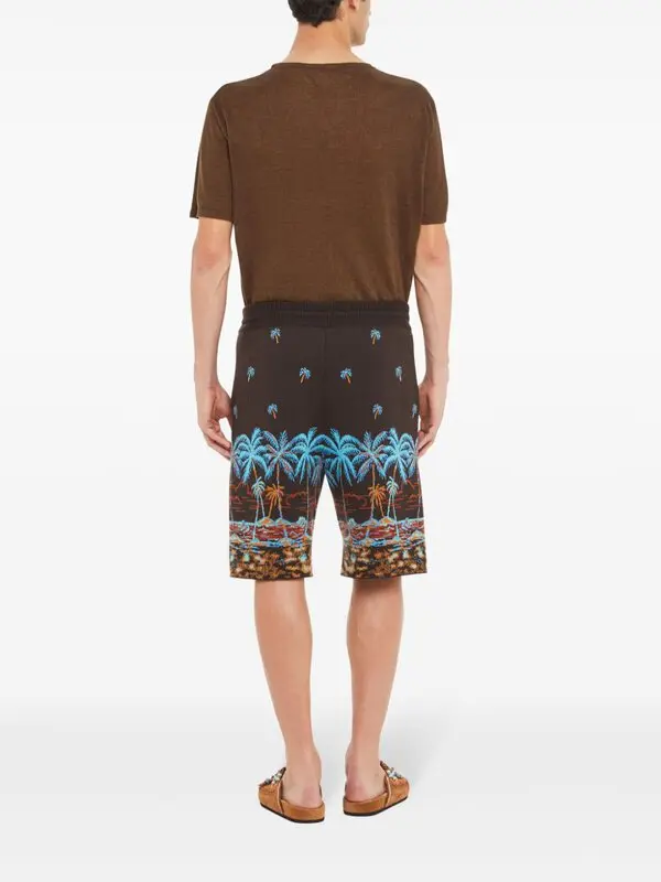 Alanui The Tale Of Hawaiian Shorts - Brown