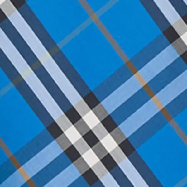 Burberry Cotton Check Shirt