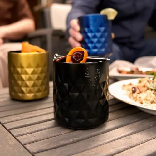 VISKI Paragon Stainless Steel Rocks Tumbler - Obsidian