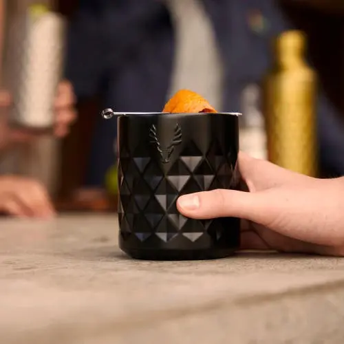 VISKI Paragon Stainless Steel Rocks Tumbler - Obsidian
