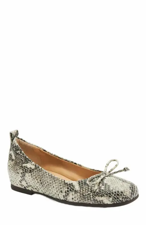 ABEO Cadence Ballet Flat - Snake Print - Regular