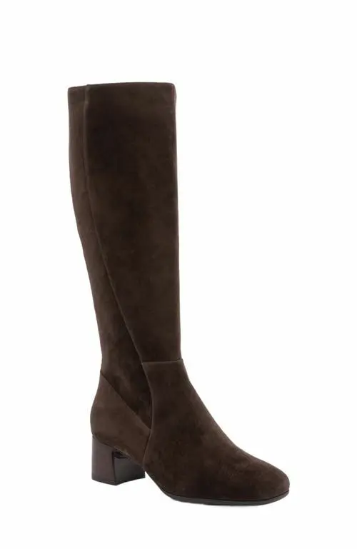 ABEO Avenue Tall Boot - Java Suede - Regular