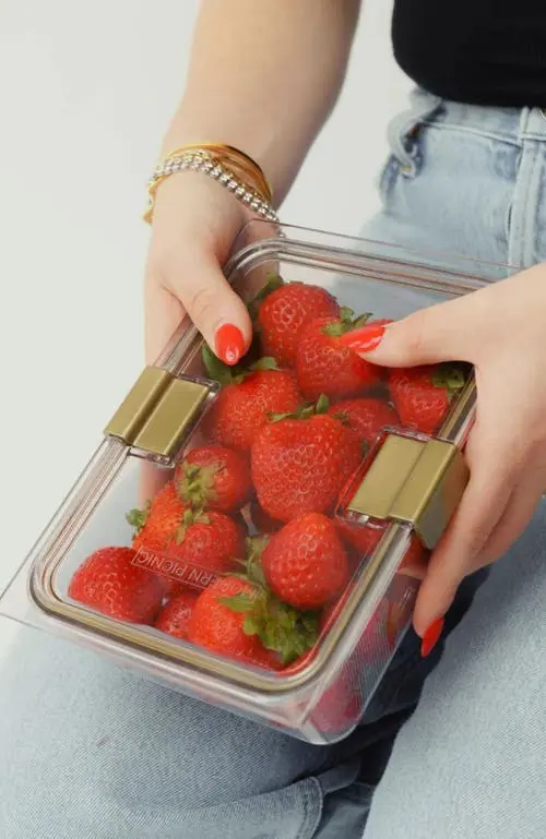 MODERN PICNIC Luncher + 1 Container Set