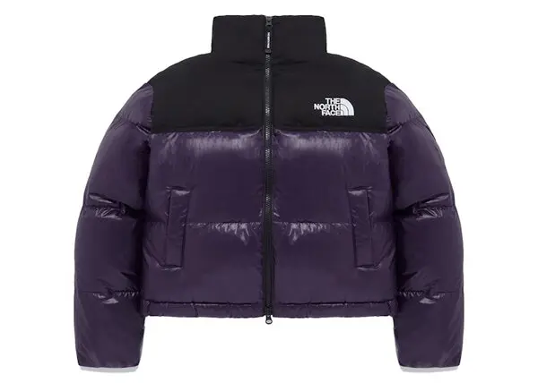 The North Face Novelty Nuptse Rds Down Jacket - Violet