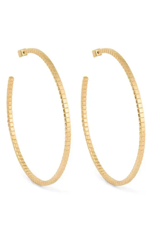 IVI LOS ANGELES Large Signore Hoop Earrings - Yellow Gold