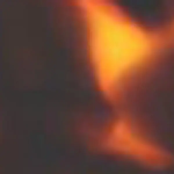 TOM FORD Rounded Square Sunglasses