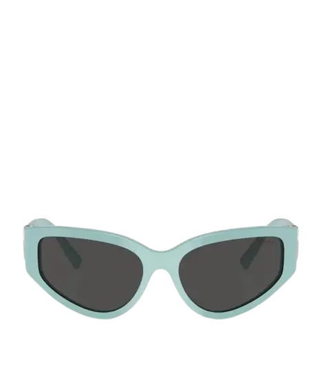 Tiffany & Co. Logo Sunglasses