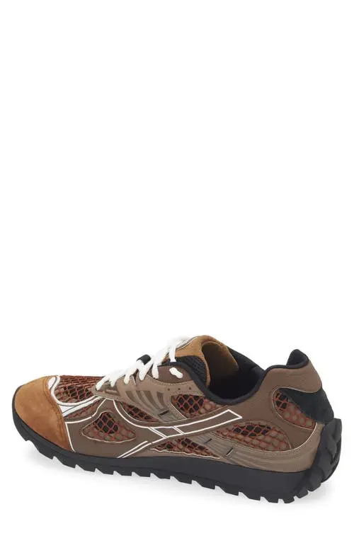 Bottega Veneta Orbit Low-top Sneaker - 2419 Star Anise/ Pinecone