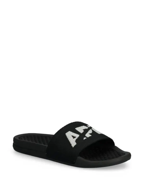 Apl Big Logo Techloom Slides
