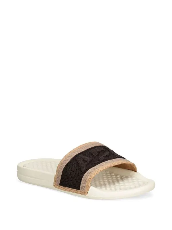 Apl Big Logo Techloom Slides - Brown
