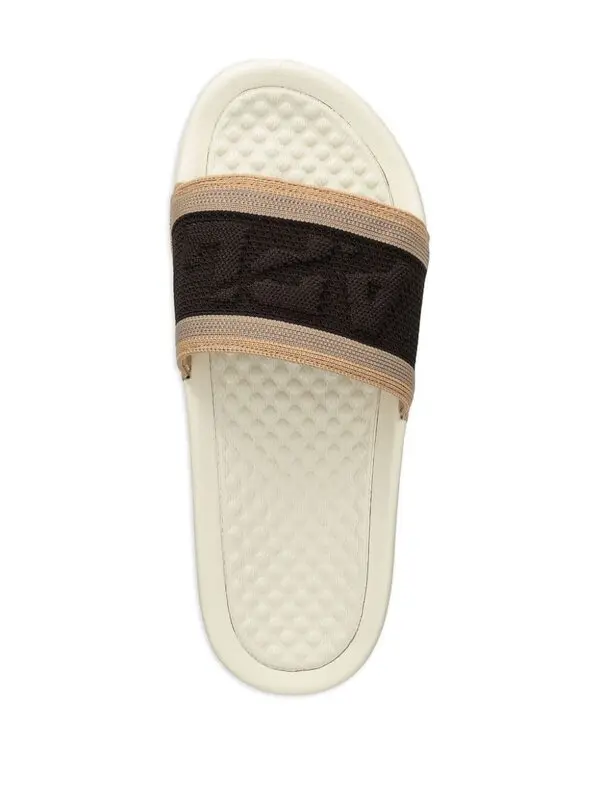 Apl Big Logo Techloom Slides - Brown