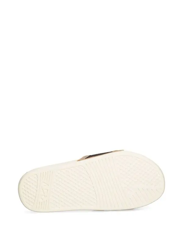 Apl Big Logo Techloom Slides - Brown