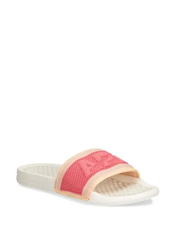 Apl Big Logo Techloom Slides - Pink