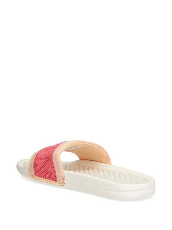 Apl Big Logo Techloom Slides - Pink
