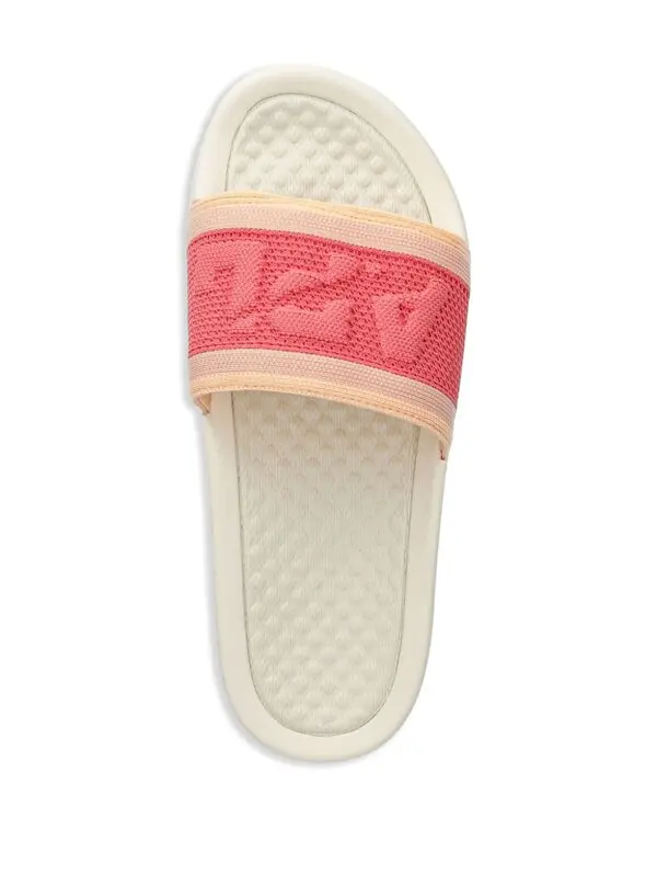 Apl Big Logo Techloom Slides - Pink