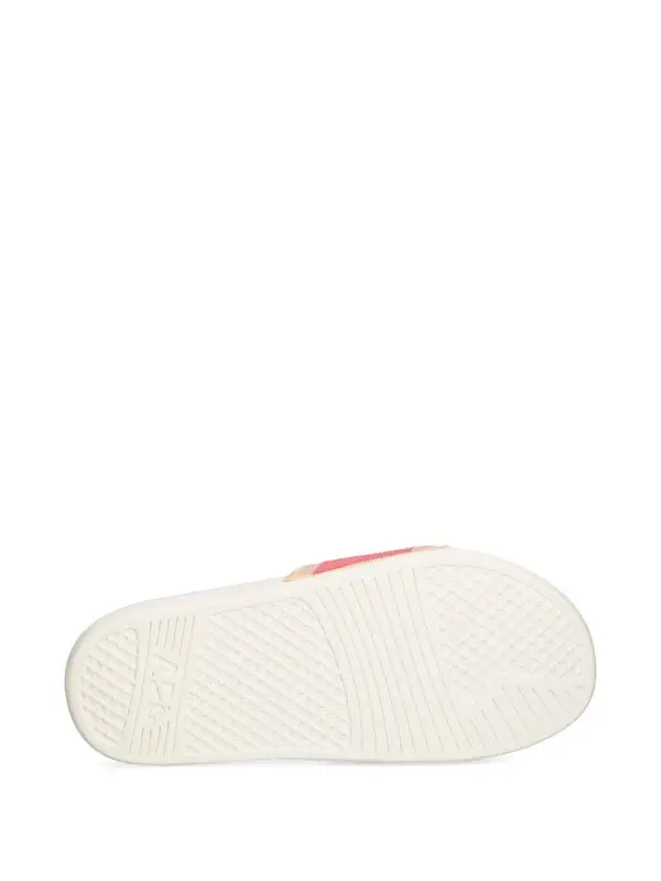 Apl Big Logo Techloom Slides - Pink