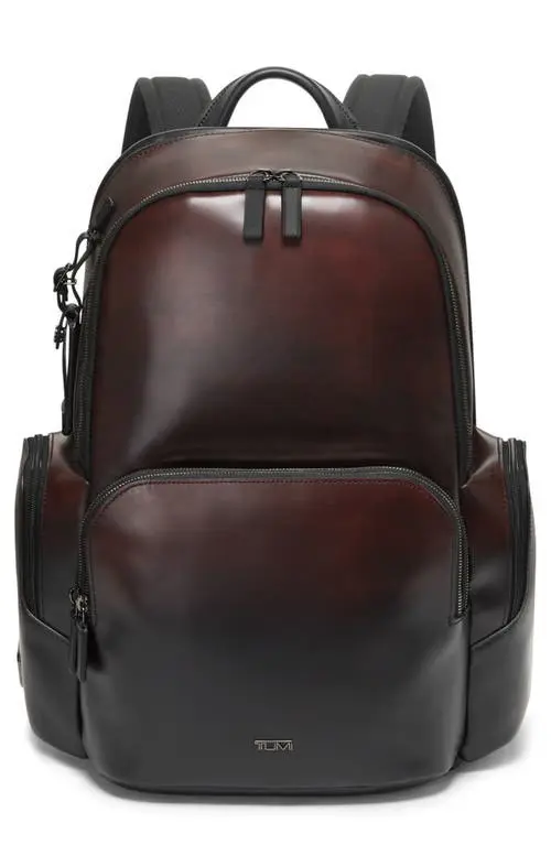 Tumi Hadden Backpack - Burnished Wine Ombre