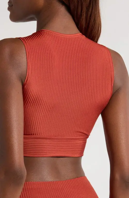 Robin Piccone Aubrey Tankini Top