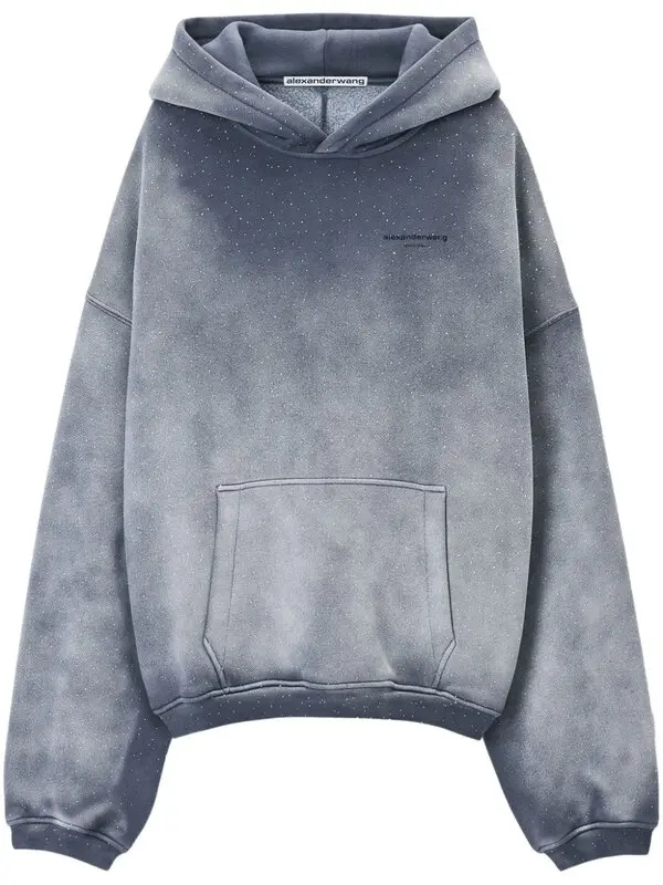 Alexander Wang Crystal Hoodie In Grey - 50% Off | Editorialist