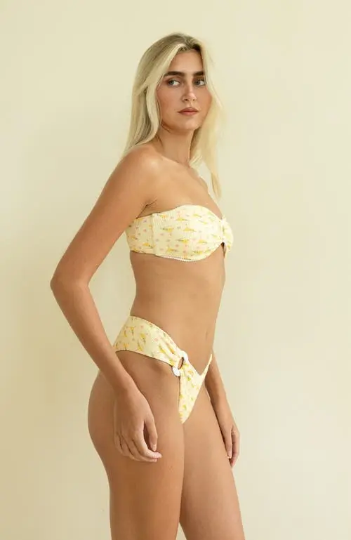 DIPPIN DAISY'S Taya Bikini Bottom - Martini
