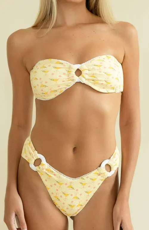 DIPPIN DAISY'S Taya Bikini Bottom - Martini