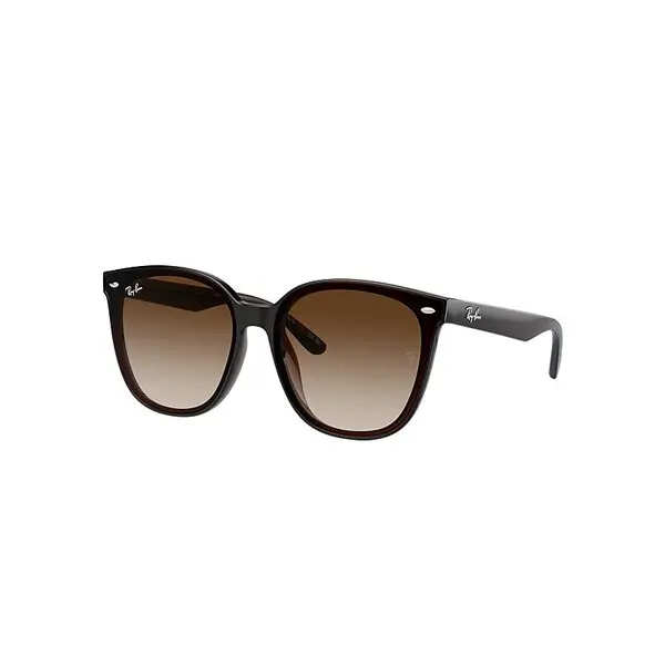 Ray-ban Sunglasses With Square Frame - Transparent Brown