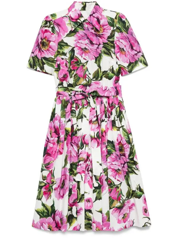Dolce & Gabbana Peonie-print Cotton Midi Dress - Pink