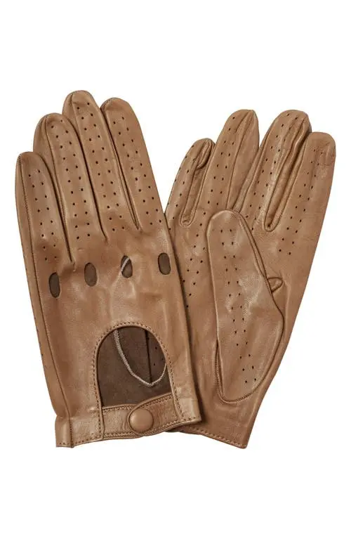 PAULA ROWAN Noel Perforated Leather Gloves - Taupe