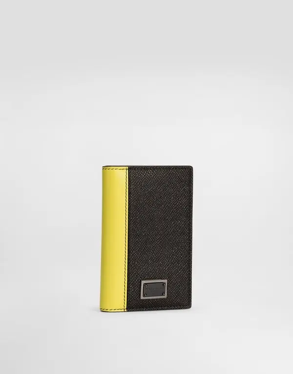 Dolce & Gabbana Dauphine Card Holder - Multicolor