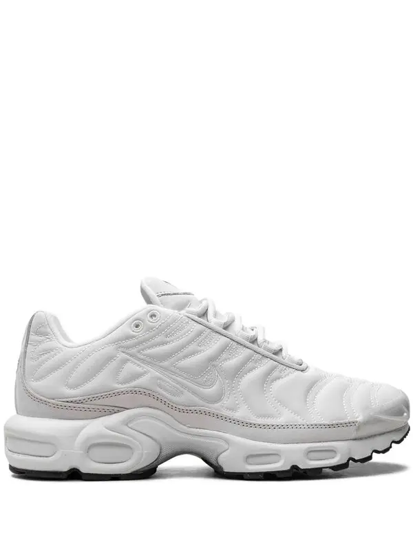 Nike Air Max Plus Sneakers