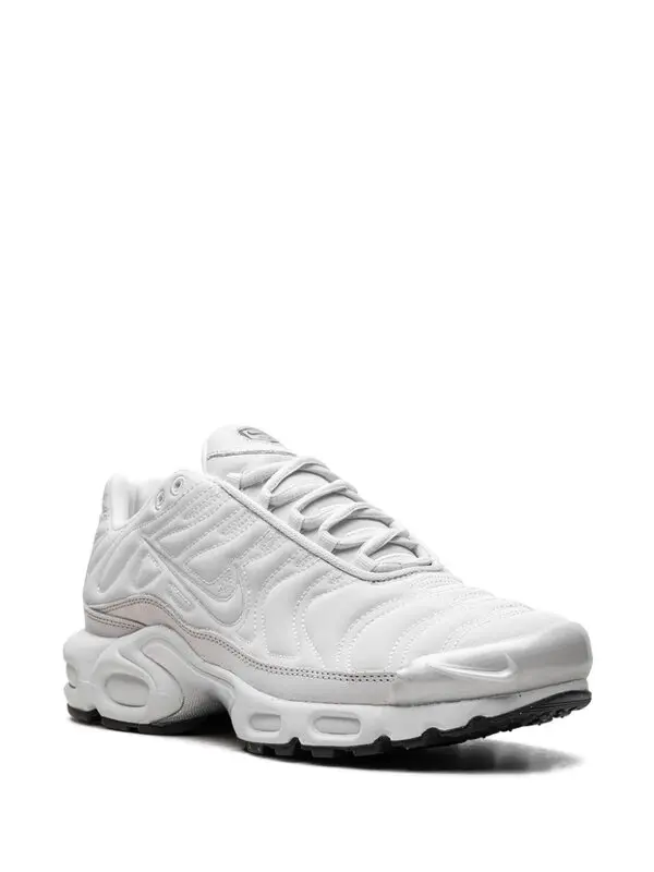 Nike Air Max Plus Sneakers