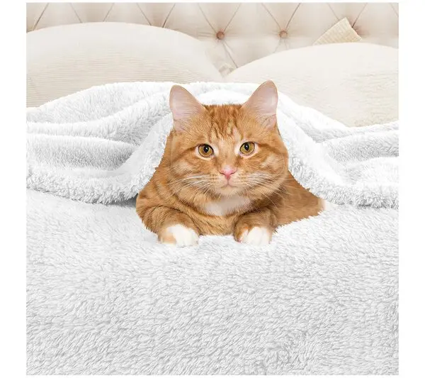 SUPERIOR Solid Fleece Medium Weight Fluffy Soft Blanket Queen