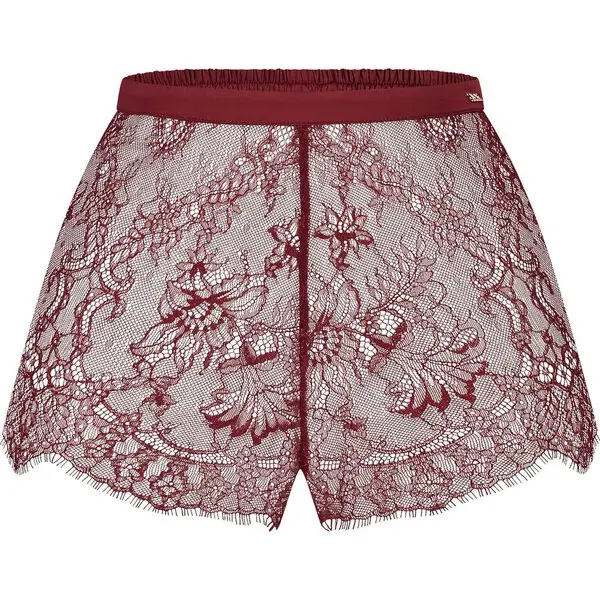 Hunkemoller Delphine French Lace Knicker Briefs - Red