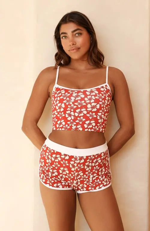 DIPPIN DAISY'S Hanalei Tankini Top - Lilo/white