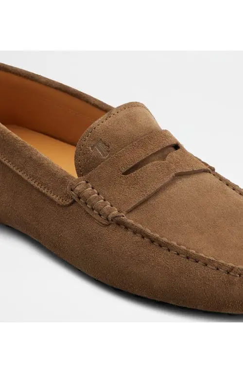 TOD'S Calfskin Suede Driving Shoe