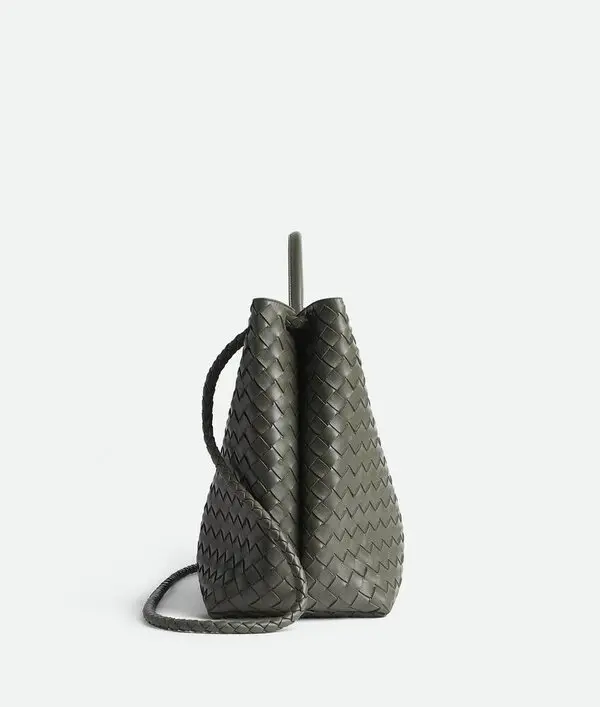 Bottega Veneta Andiamo Top Handle Bag