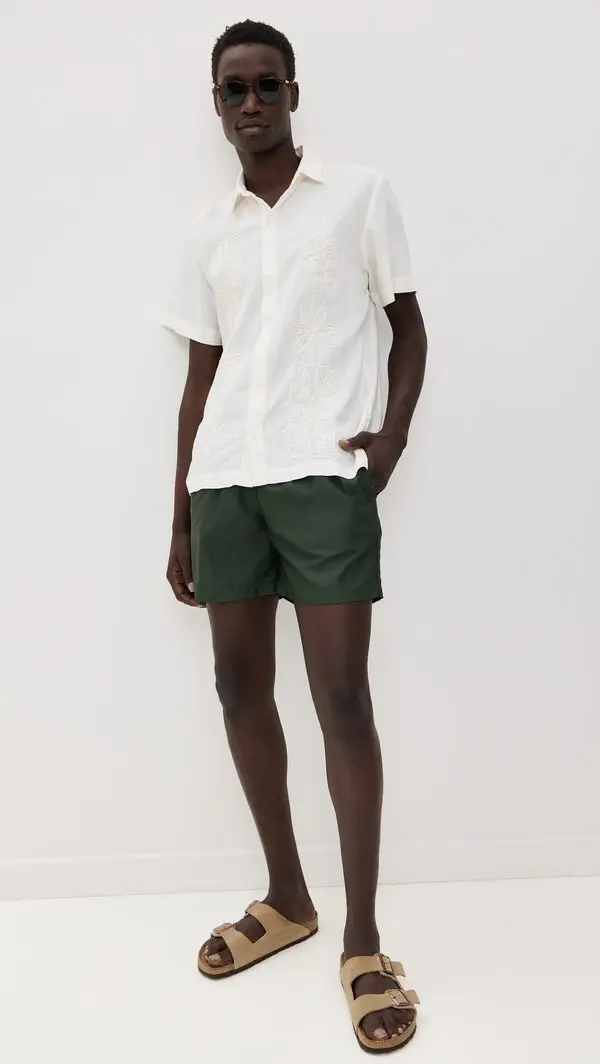 ANCORA The Solid Swim Trunks 5.5 - Olive