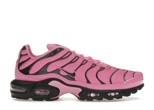 Nike Air Max Plus Sneakers