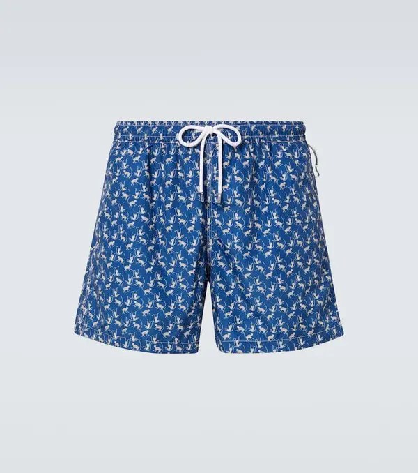 Fedeli Printed Swim Trunks